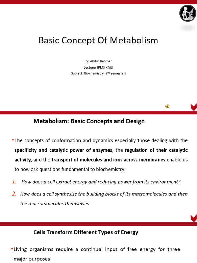 Metabolism | PDF | Metabolism | Metabolic Pathway
