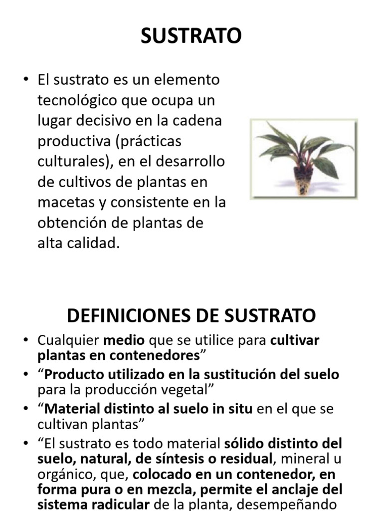 SUSTRATO | PDF | Suelo | Plantas