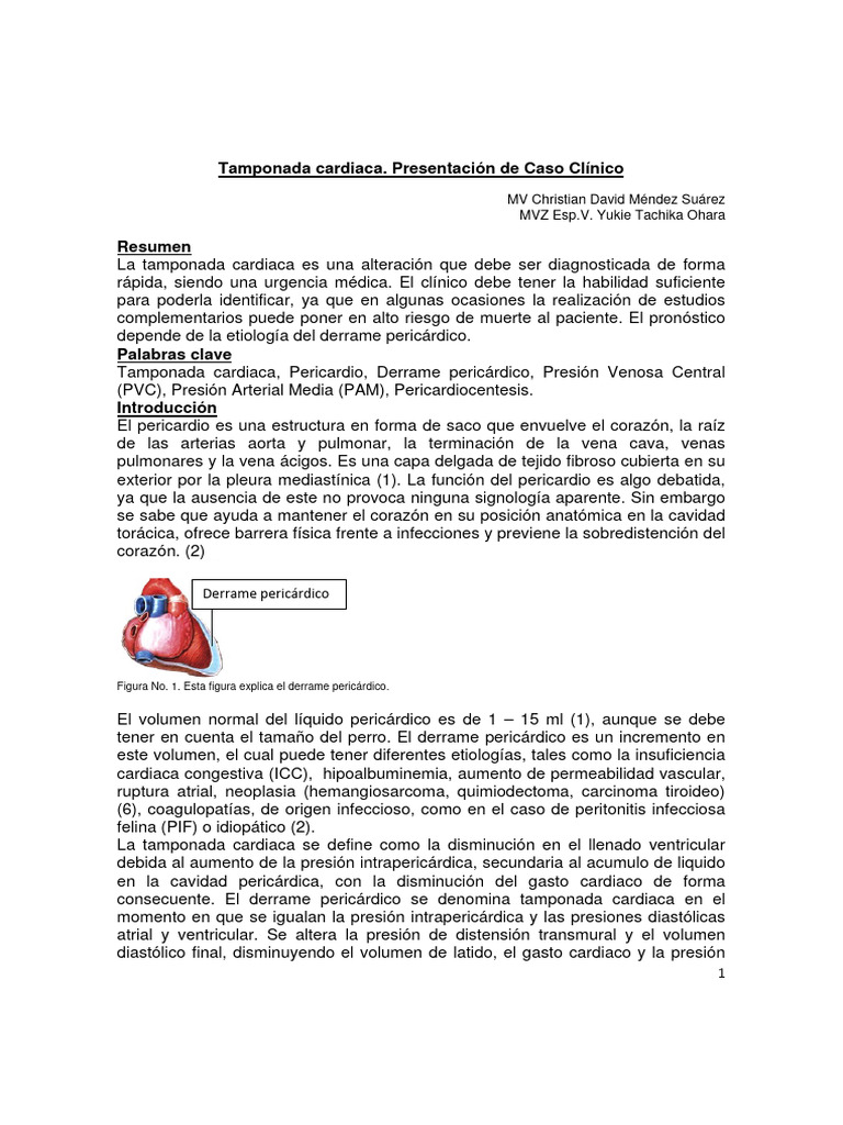 Tamponada cardiaca: Caso clínico y diagnóstico | PDF | Insuficiencia ...