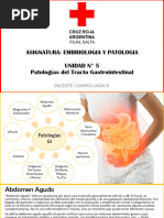 Clase Ileo Obstructivo y No Obstructivo | PDF | Intestino grueso | Abdomen
