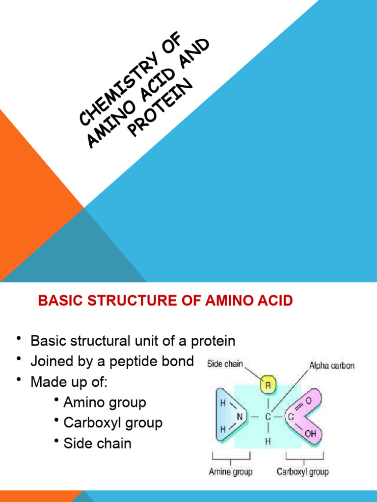 Chemistry of Aminoacids & Proteins Nursing | PDF | Amino Acid | Hemoglobin