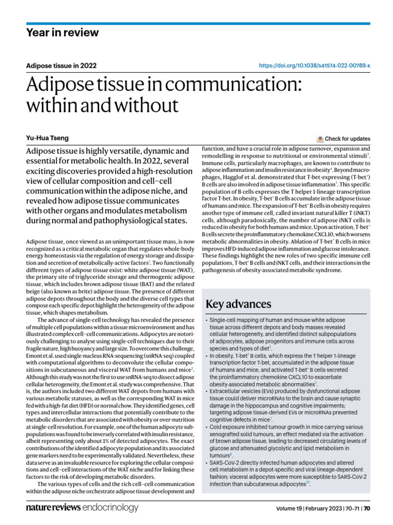 Adipose tissue in communication | PDF | Adipose Tissue | Adipocyte
