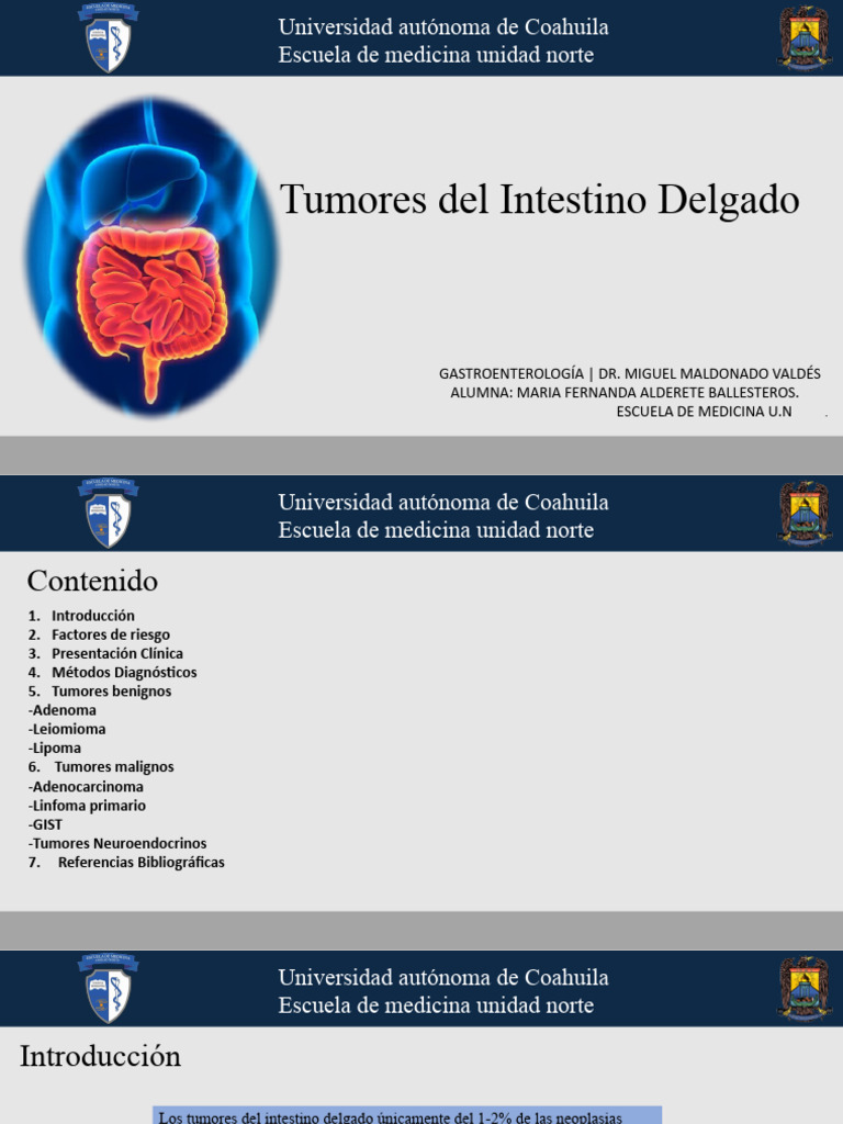 Tumores del Intestino Delgado: Tipos y Síntomas | PDF | Cáncer | Cáncer ...