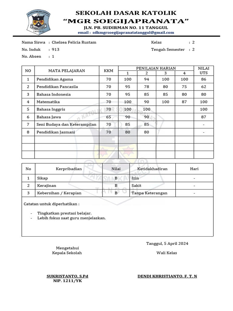 Format Raport Pts | PDF