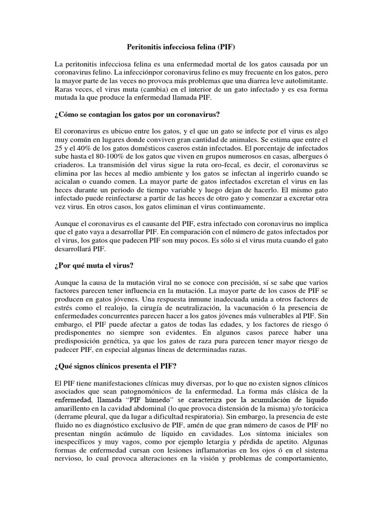 Peritonitis Infecciosa Felina (PIF) | Descargar gratis PDF | Gatos | Virus