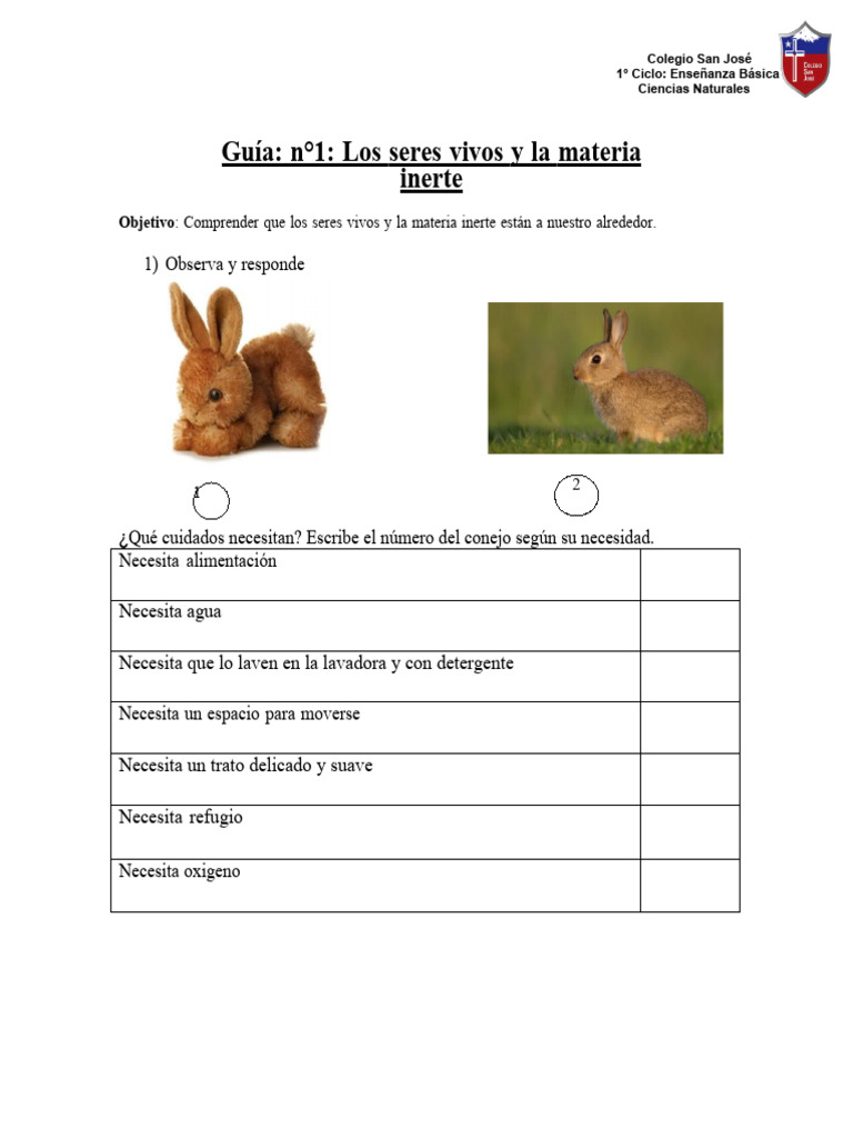 Guia Seres Vivos e Inerte 1ro AB OK | PDF | Artes del Lenguaje y ...