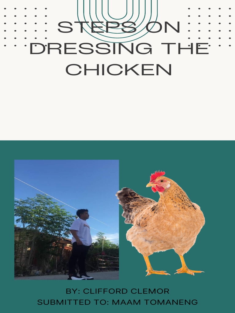 Dressing The Chicken - 20240130 - 201855 - 0000 | PDF