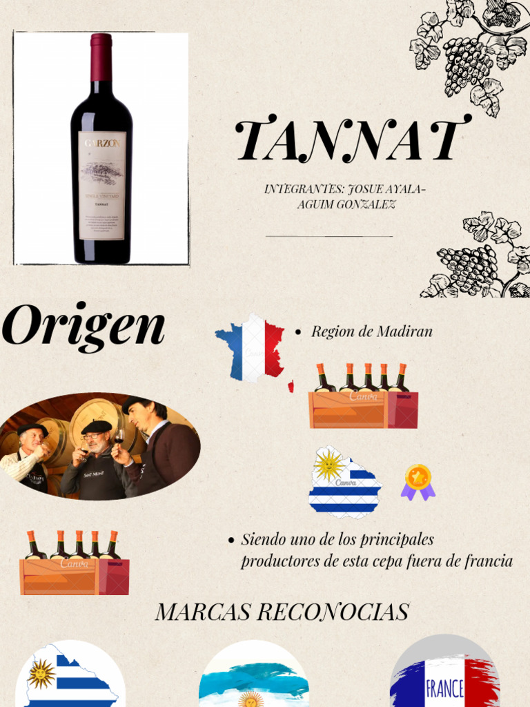 Vino Tannat | PDF