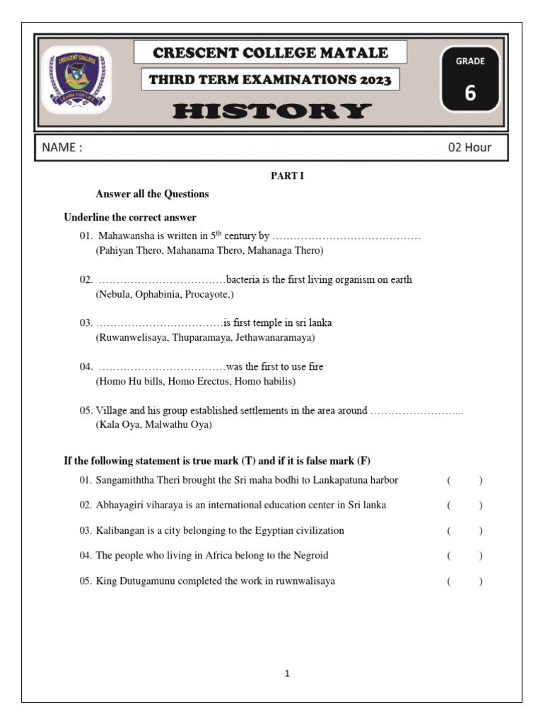 Grade 6 History 3rd Term Test Paper | PDF | Homo