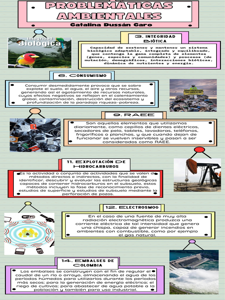 Infografía Problemáticas Ambientales (2) | PDF | Agua | Entorno natural