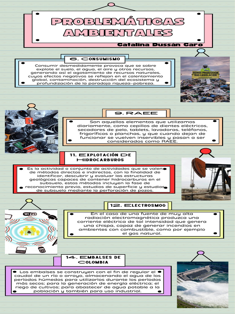 Infografía Problemáticas Ambientales | PDF