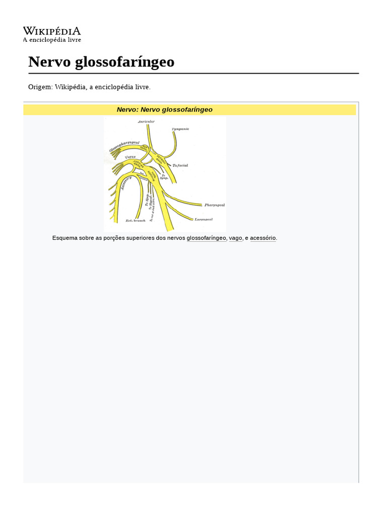 Nervo Glossofaríngeo | Download grátis PDF | Anatomia | Anatomia humana
