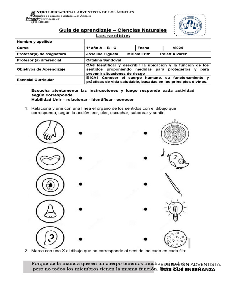 Guia 2 Los Sentidos | PDF | Aprendizaje | Cognición