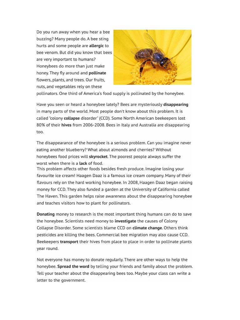 Habitat Disappearing Honey Bee-B1-B2 | PDF