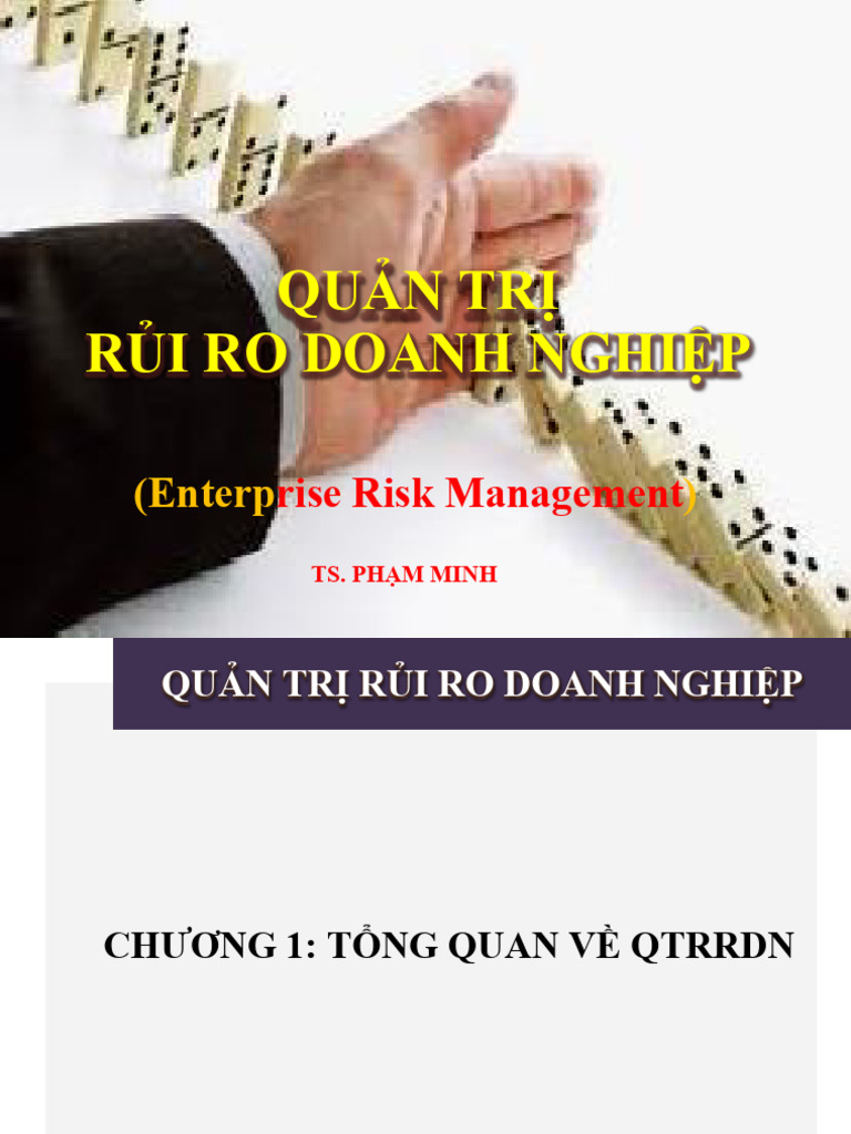 ERM Presentation | PDF