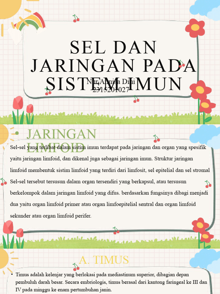 Jaringan Limfoid dalam Sistem Imun | PDF