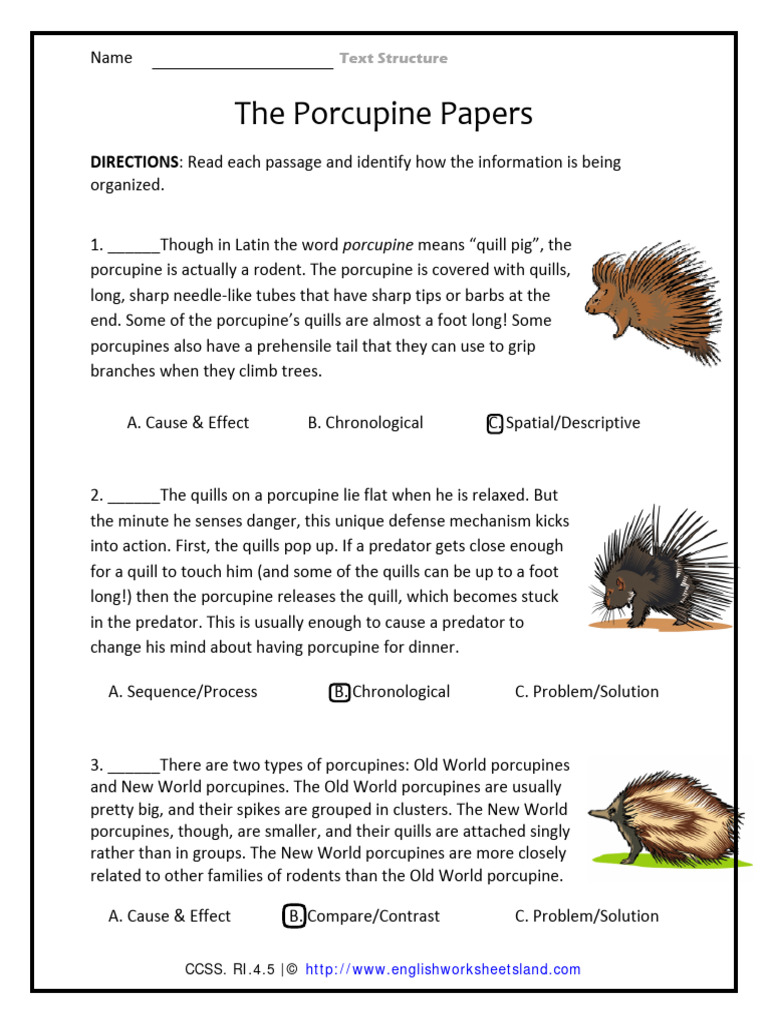Text Structure 5 | PDF