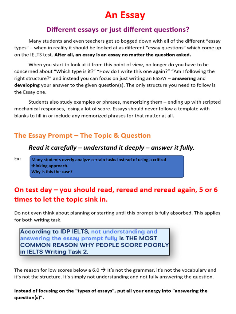 the Essay Guide | PDF | Reason | Essays