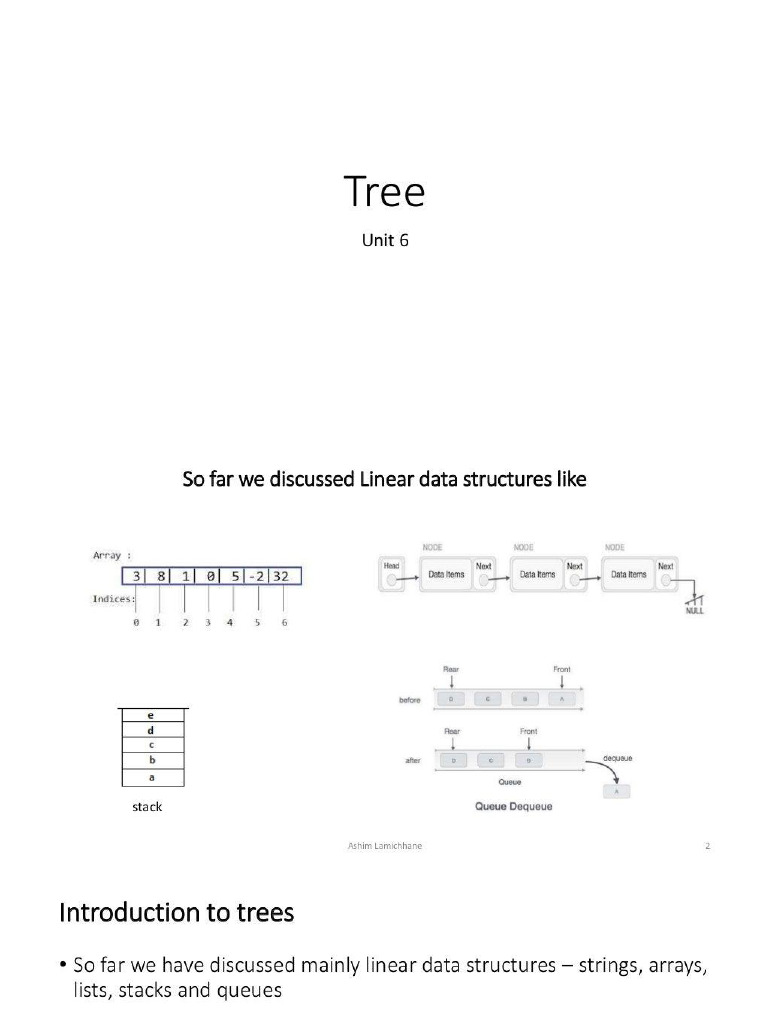 Tree | PDF