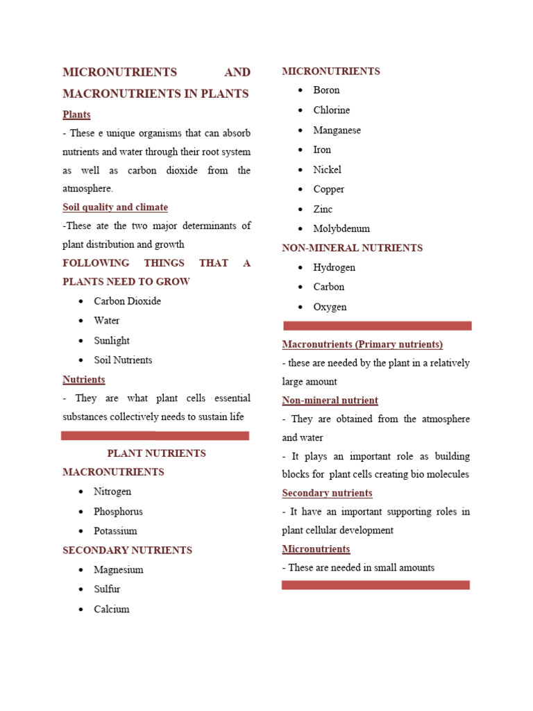 Micronutrients and Macronutrients in Plants | Download Free PDF | Plant ...