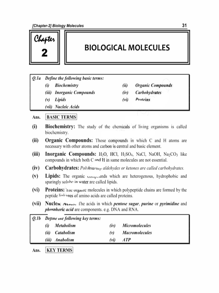 Chapter 2 Biology Notes 11th Class | PDF