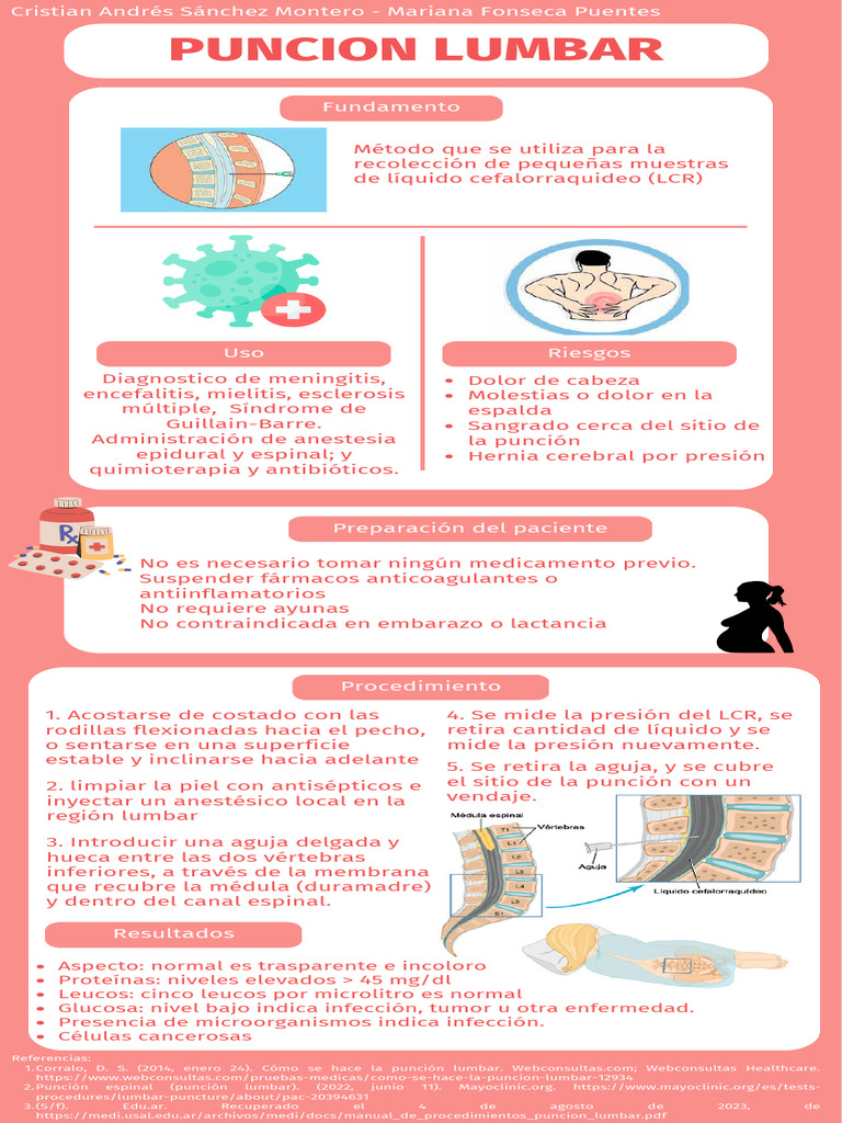 Puncion Lumbar. | PDF | Fluido cerebroespinal | Sistema nervioso