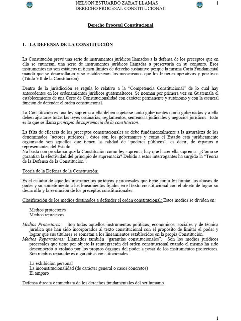 Derecho Procesal Constitucional | PDF | Ley procesal | Constitución