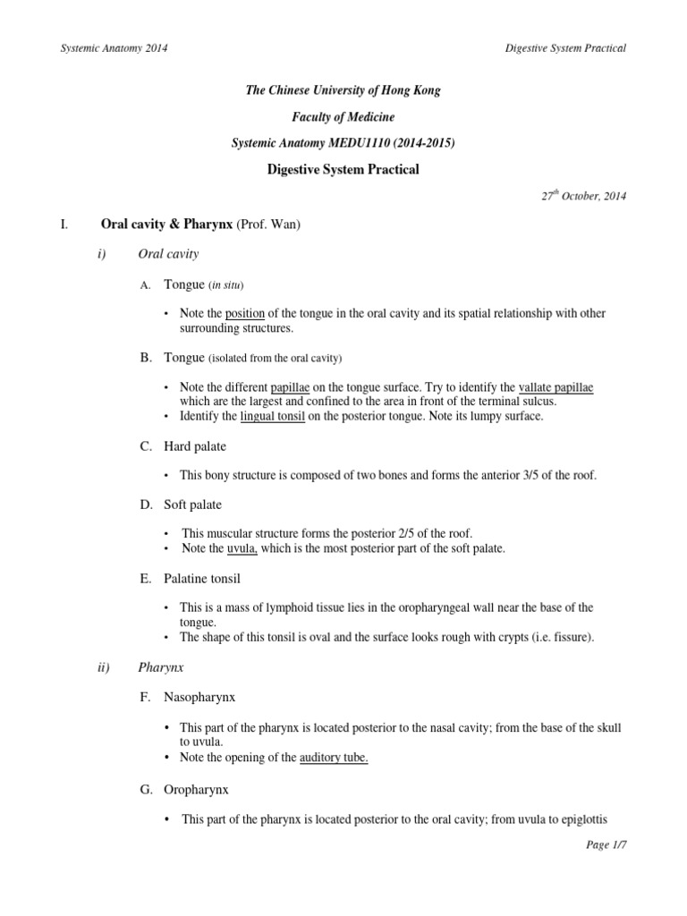 10 - Digestive System Practical Handout 2014 | Download Free PDF ...