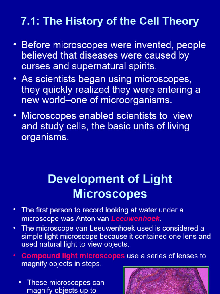 Chapter 7 Notes - Cells | PDF | Cell Membrane | Endoplasmic Reticulum