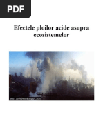 Ploaia Acida | PDF