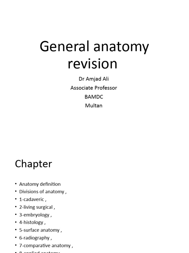 General Anatomy Revision | PDF | Heart | Vein