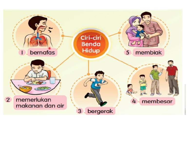 Ciri Benda Hidup | PDF