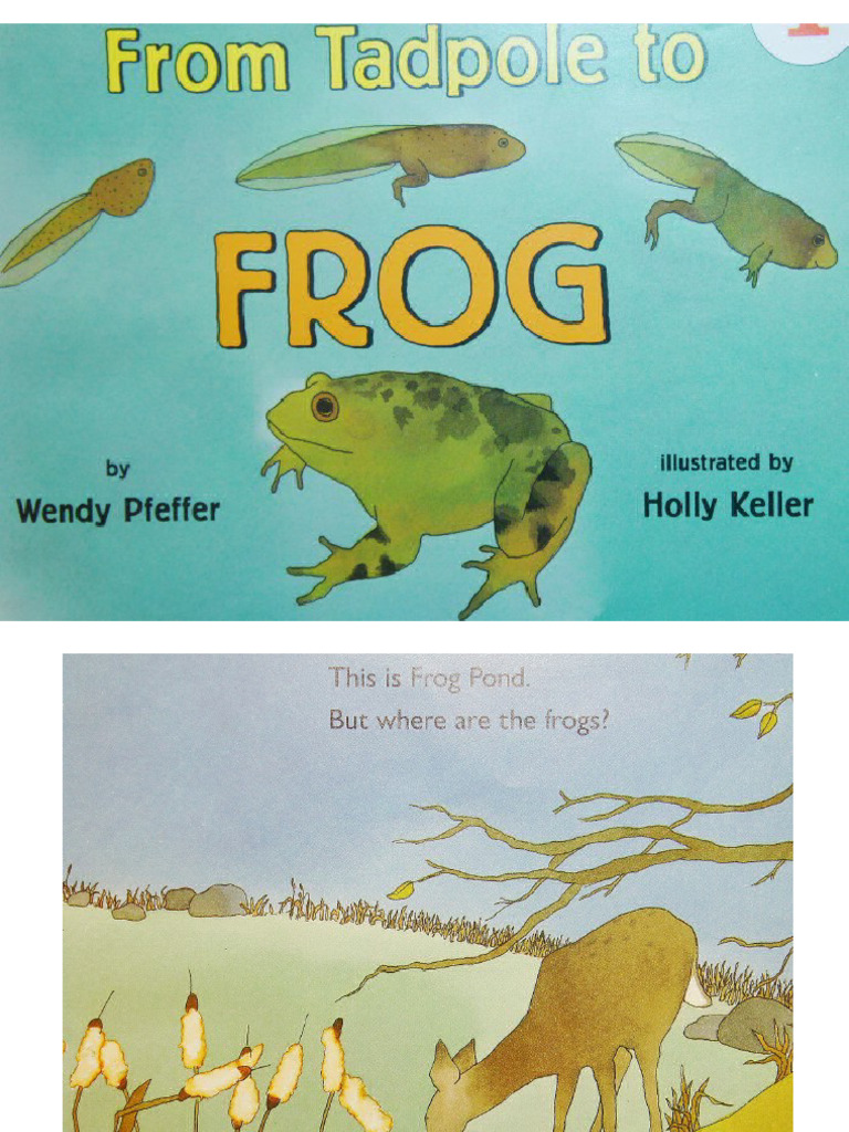 Frog Life Cycle and Breathing Explained | PDF | Language Arts ...