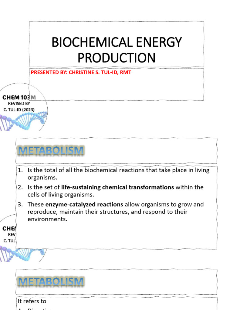 Bioenergetics Student S | PDF | Diet & Nutrition | Chemistry