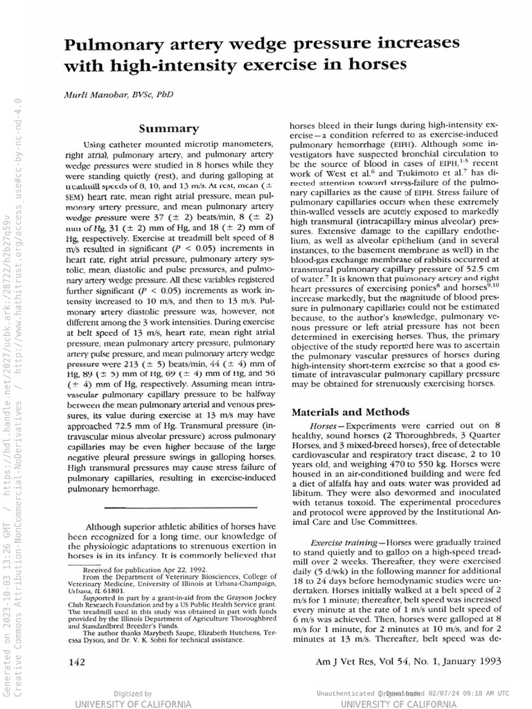 Ajvr-Ajvr 1993 54 01 142 | PDF | Artery | Lung
