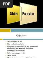 Skin Layers Diagram for Students | PDF