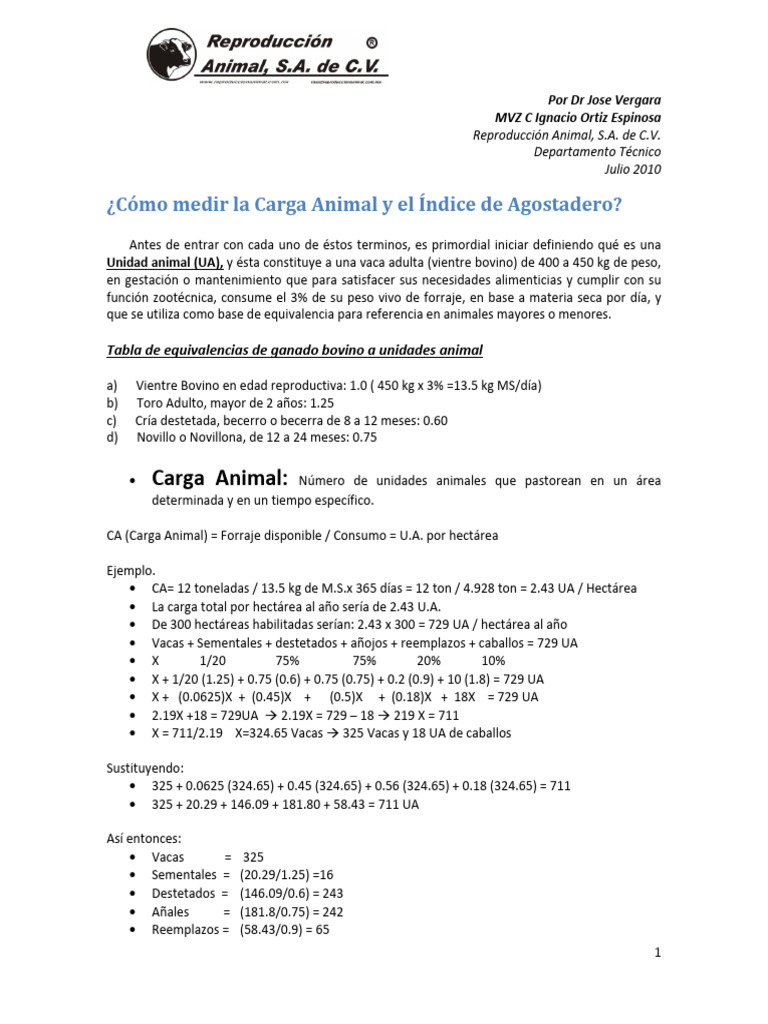 Como Medir La Carga Animal - 2-065-2024 | PDF | Vacas | Ganado