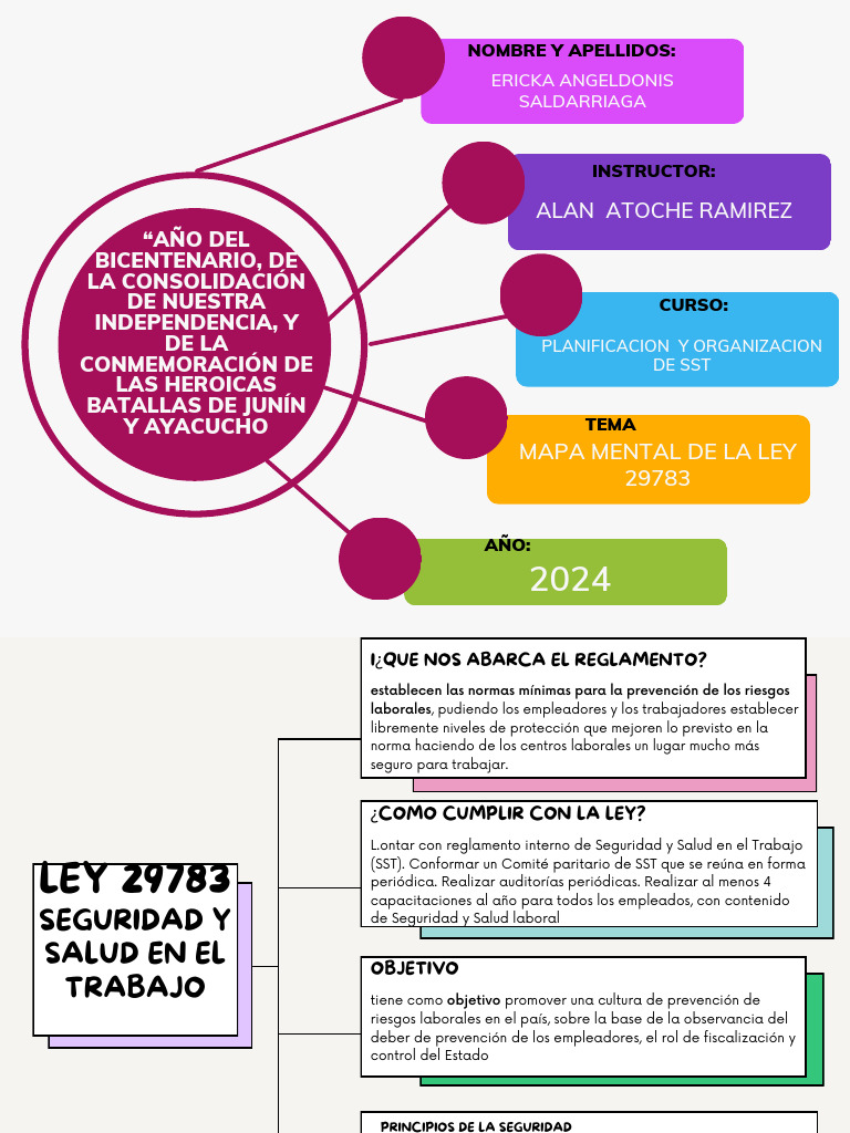 Mapa Mental de La Ley 29783 | PDF | Crecimiento personal y profesional