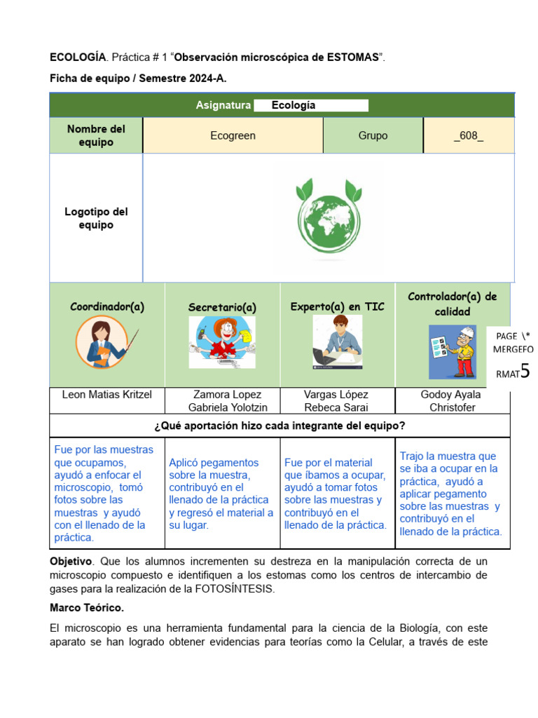 PRACTICA 1 - Ecogreen | PDF | Estoma | Hoja