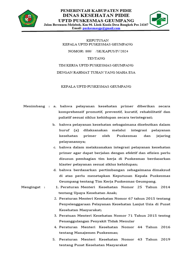 SK ILP PUSKESMAS Geumpang | PDF | Bisnis | Kesehatan Holistik