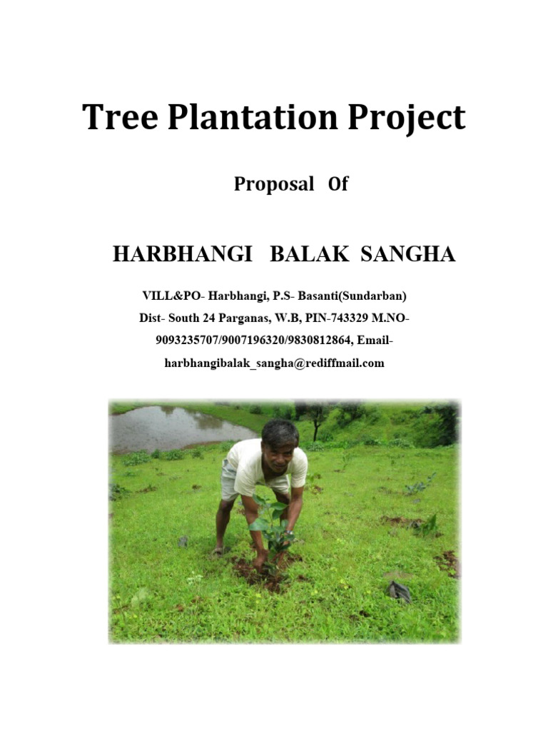 Tree Plantation Project | PDF | Agriculture | Trees