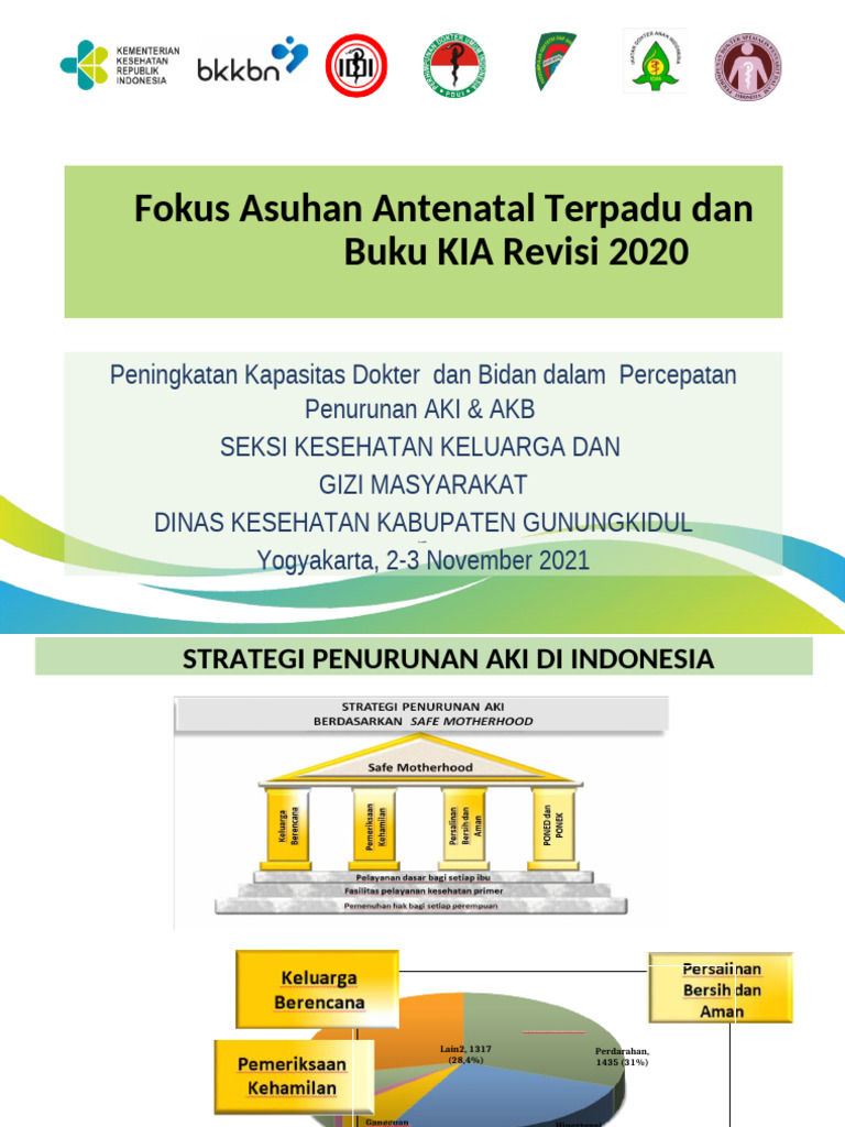 ANC Terpadu - Buku KIA Revisi 2020-1 | PDF