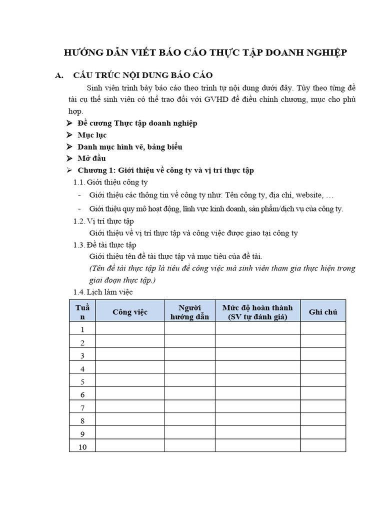 5 - Mẫu Báo cáo TTDN | PDF