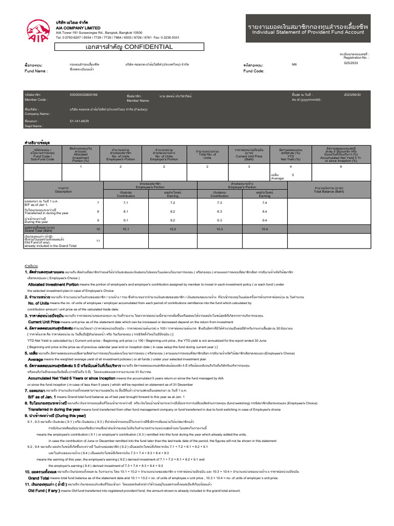 Individual Statement | PDF