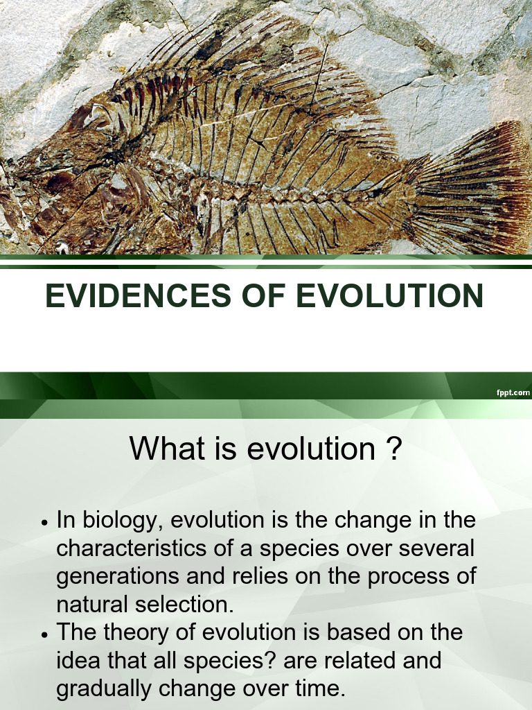 Key Evidences of Evolution | PDF | Homology (Biology) | Evolution