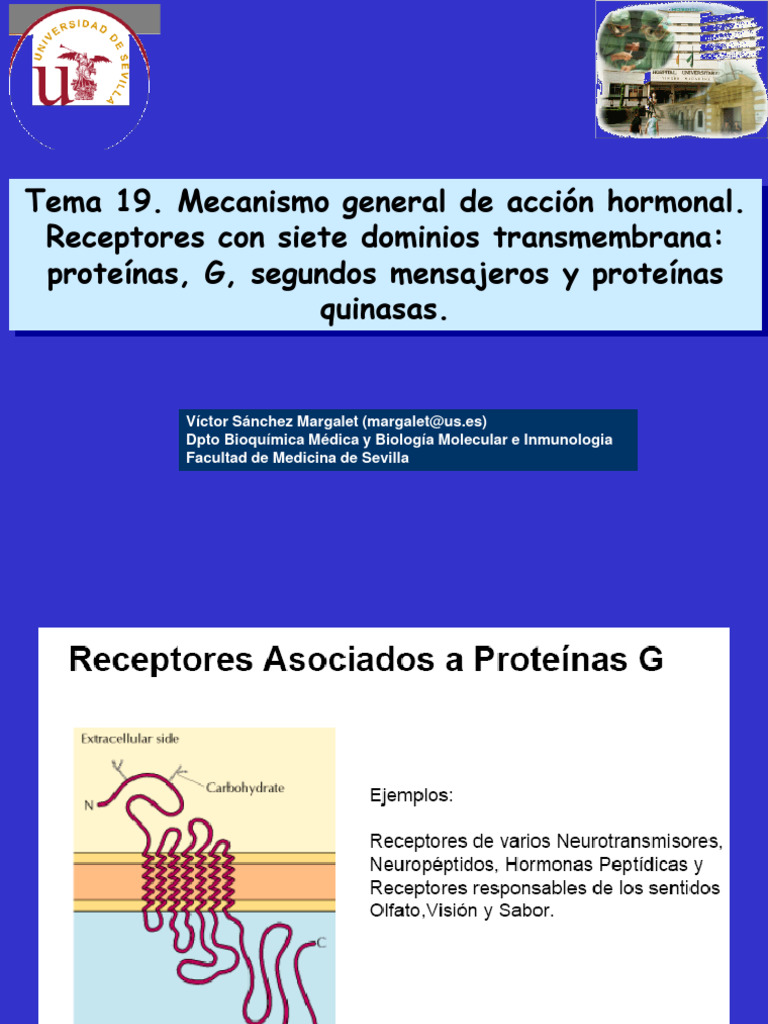 Tema-19-Receptores-Prot-G-2024 | PDF | Calcio | Biología
