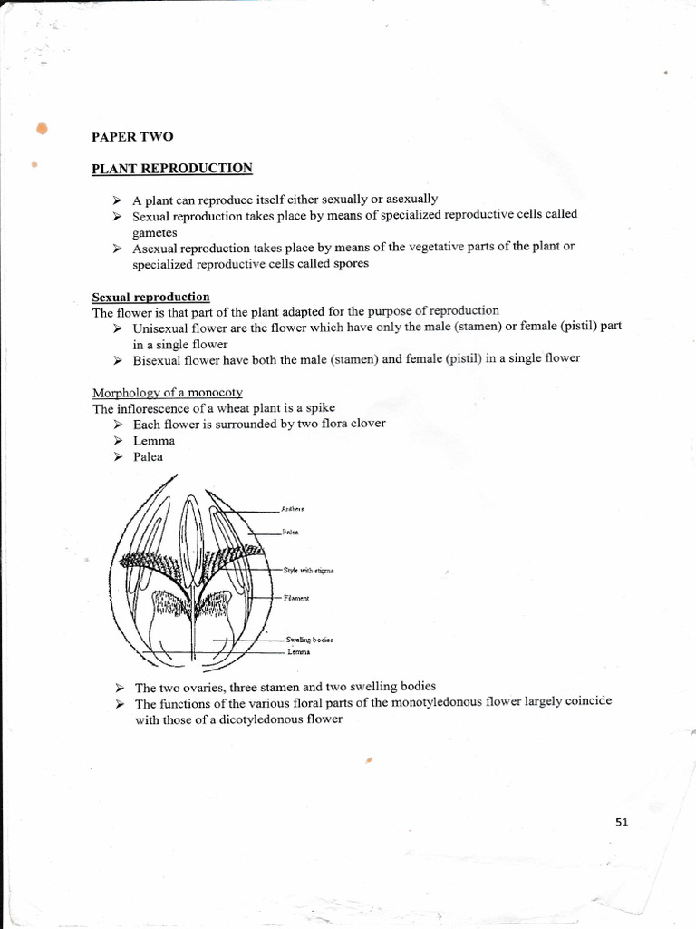 Agric Paper 2 GR 11notes | PDF | Pest (Organism) | Flowers