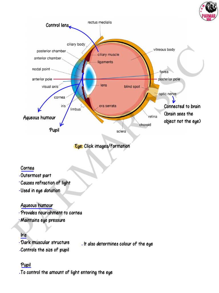 017) (Science) (Physics) Human Eye and Vision PDF | PDF ...