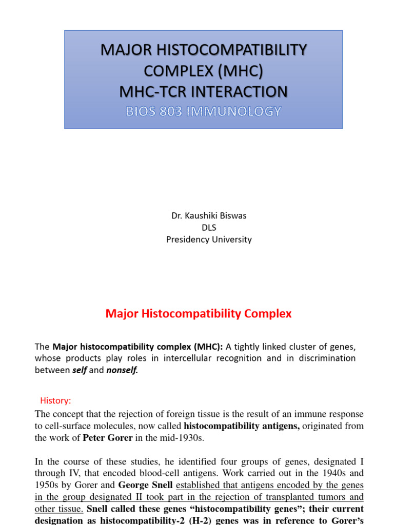 BIOS 803 Immunology (MHC) | Download Free PDF | Mhc Class I | Major Histocompatibility Complex