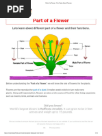 Parts of A Flower and Its Functions | PDF | Flowers | Petal